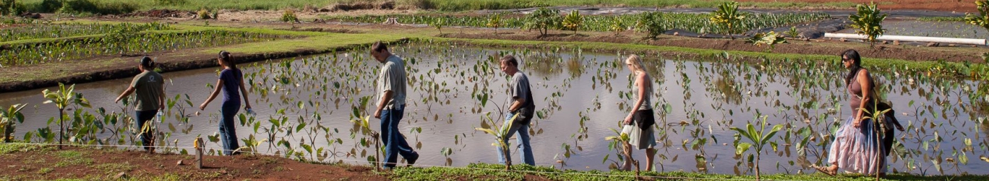 Hawaii Strong - Hawaii Community Foundation
